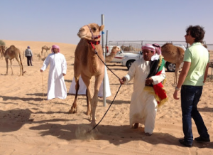Camel Market Al Lisaili - Dubai UAE Travel, Tour Guide
